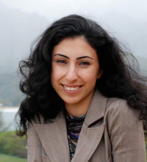 2025 PARISA SOULTANI BIO – The Storydancer Project